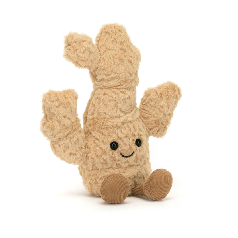 Amuseables Ginger – Research and Design